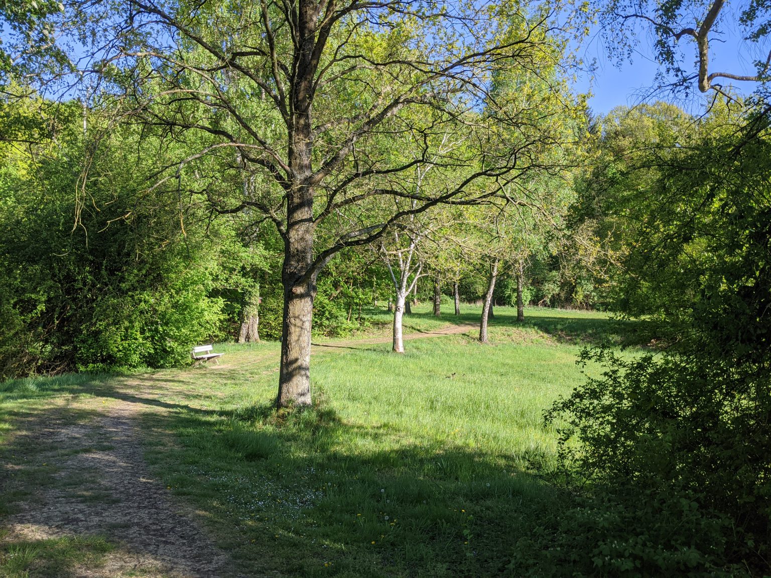 Meine Heimatgegend - Weltweit im Ruhestand